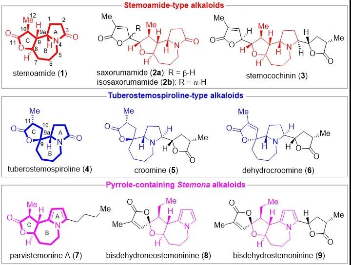 最新研究成果 | 清华大学药学院唐叶峰课题组在活性天然产物合成方面取得新进展-清华大学生命有机磷化学及化学生物学教育部重点实验室